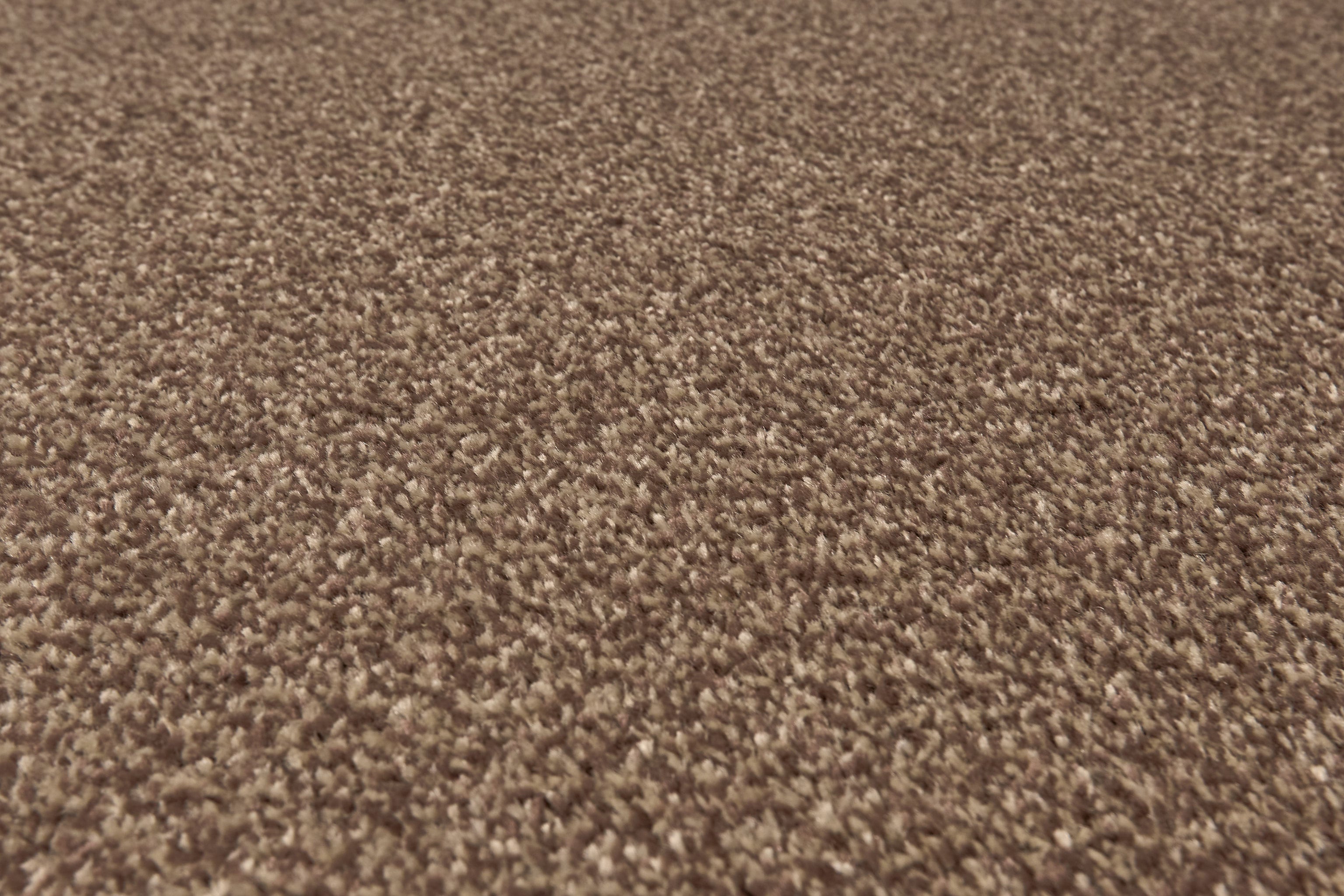 Boston - Cocoa - Felt Backed - Carpet Sample [B033]