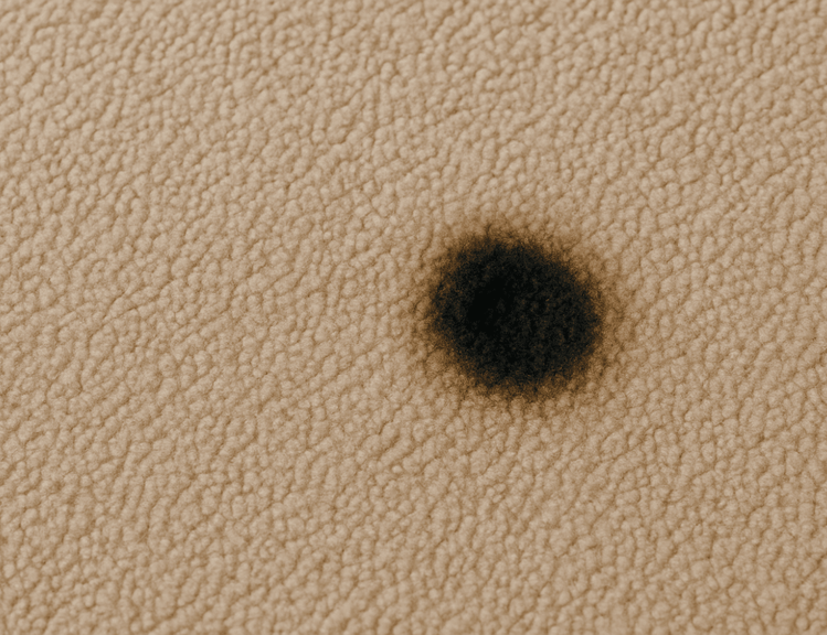 How to Fix Burnt Carpet: Step-by-Step Repair Guide