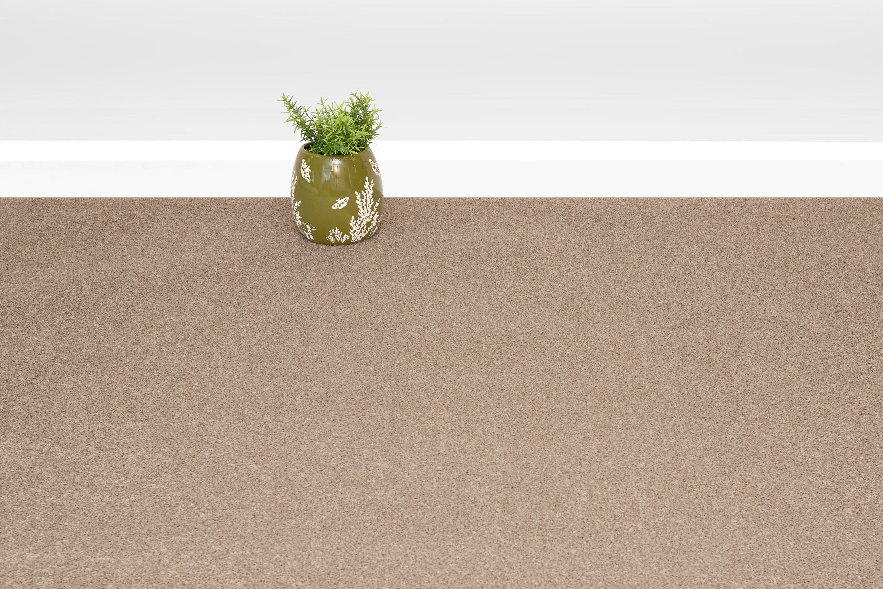 Beige Carpets | Online Carpets for Sale at Carpet Warehouse