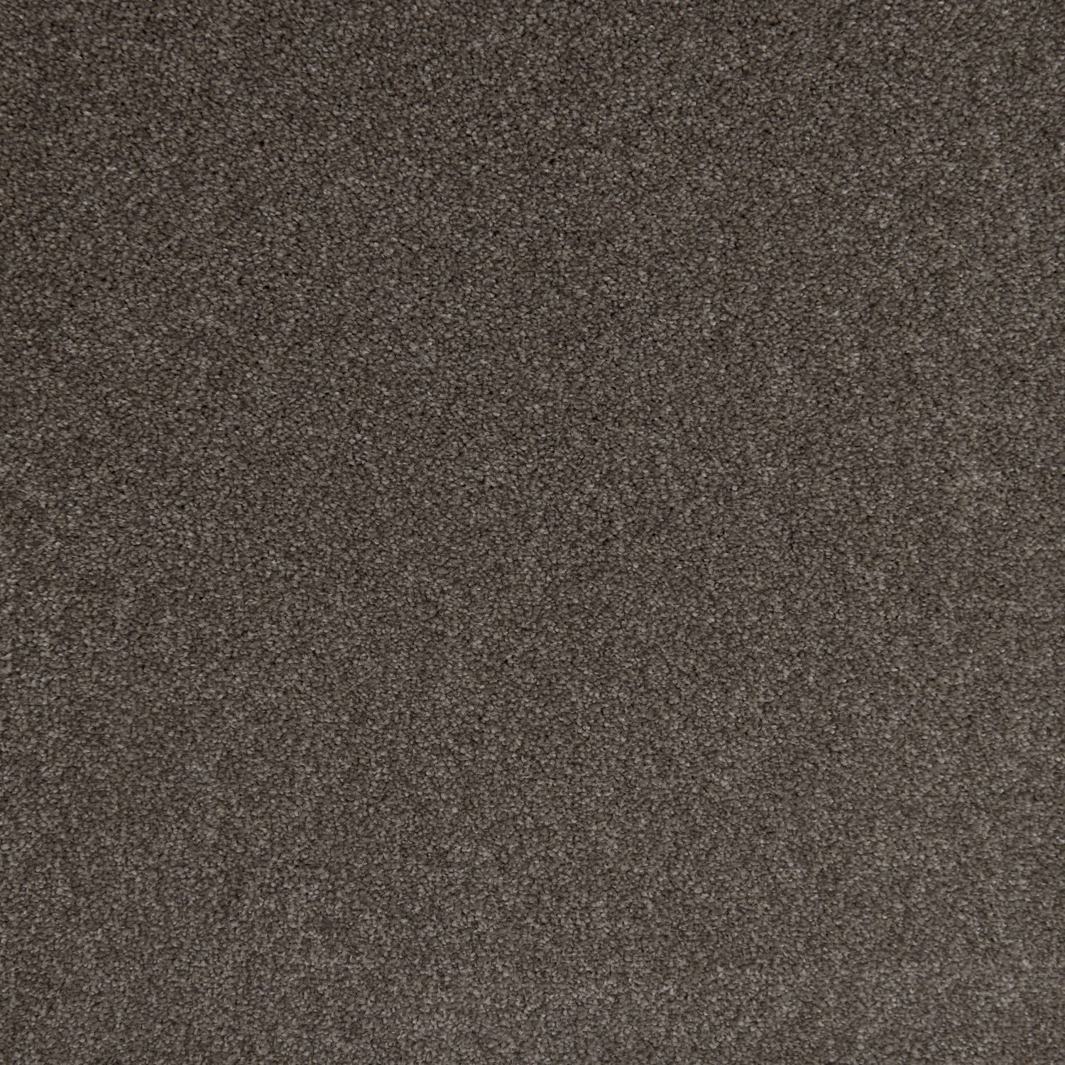 Bliss - Mink - Action Backed Carpet Sample