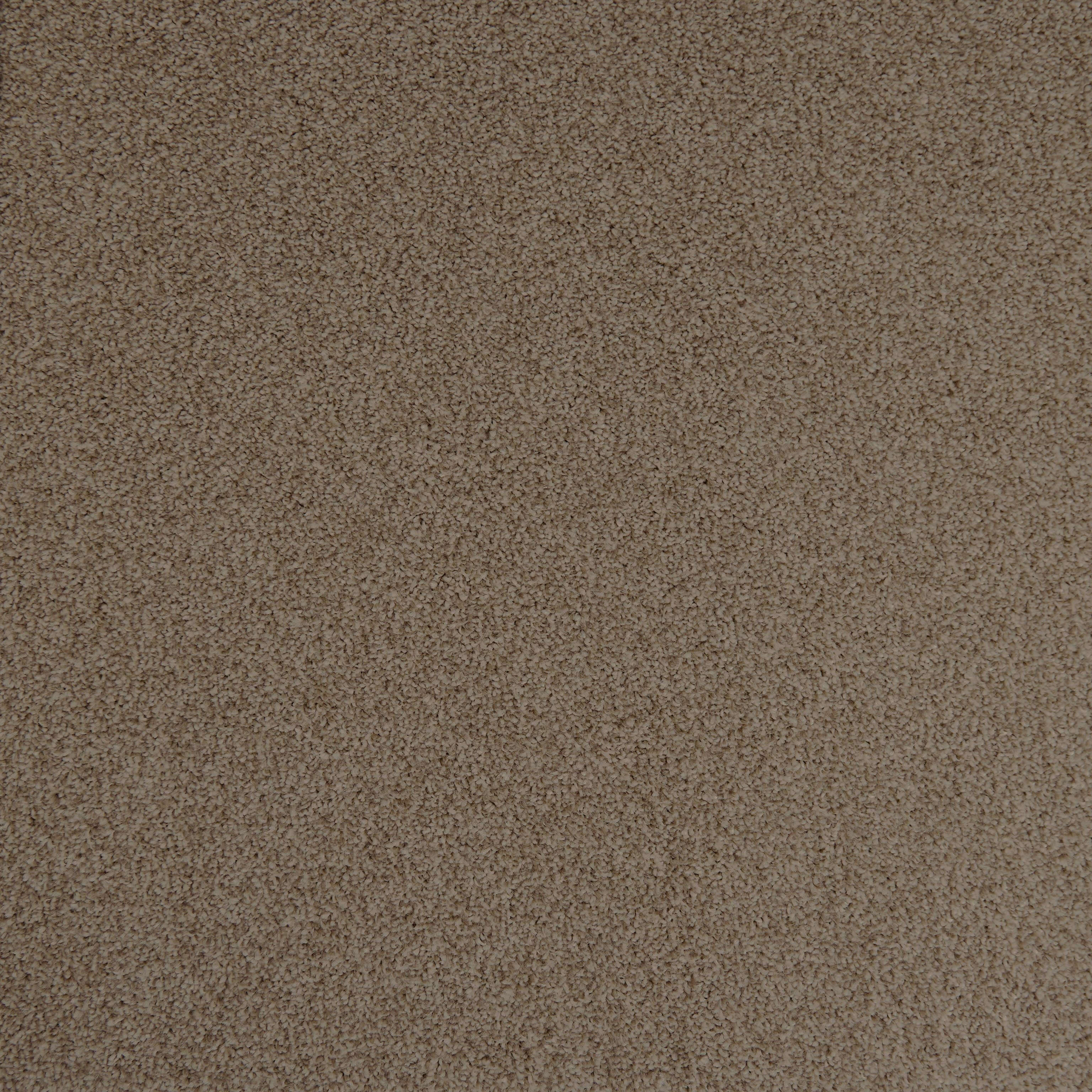 Serenity - Beige - Action Backed Carpet Sample
