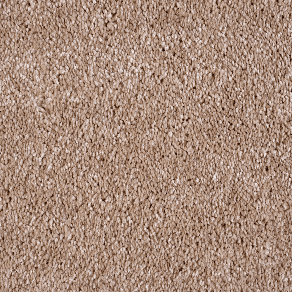 Alpine Super Soft Carpet | Carpet Warehouse