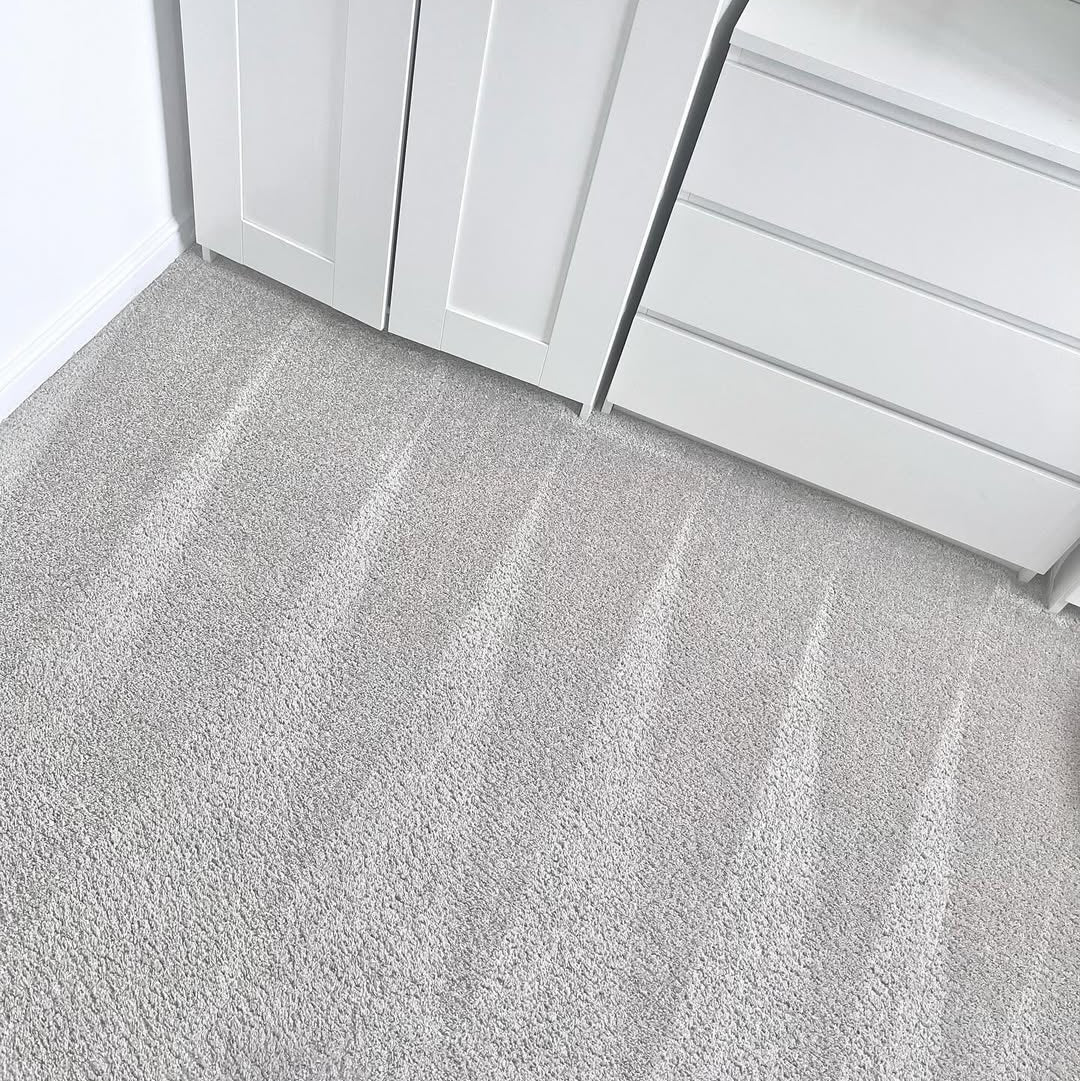 Anastasia Super Soft Saxony Polyester Carpet | Carpet Warehouse