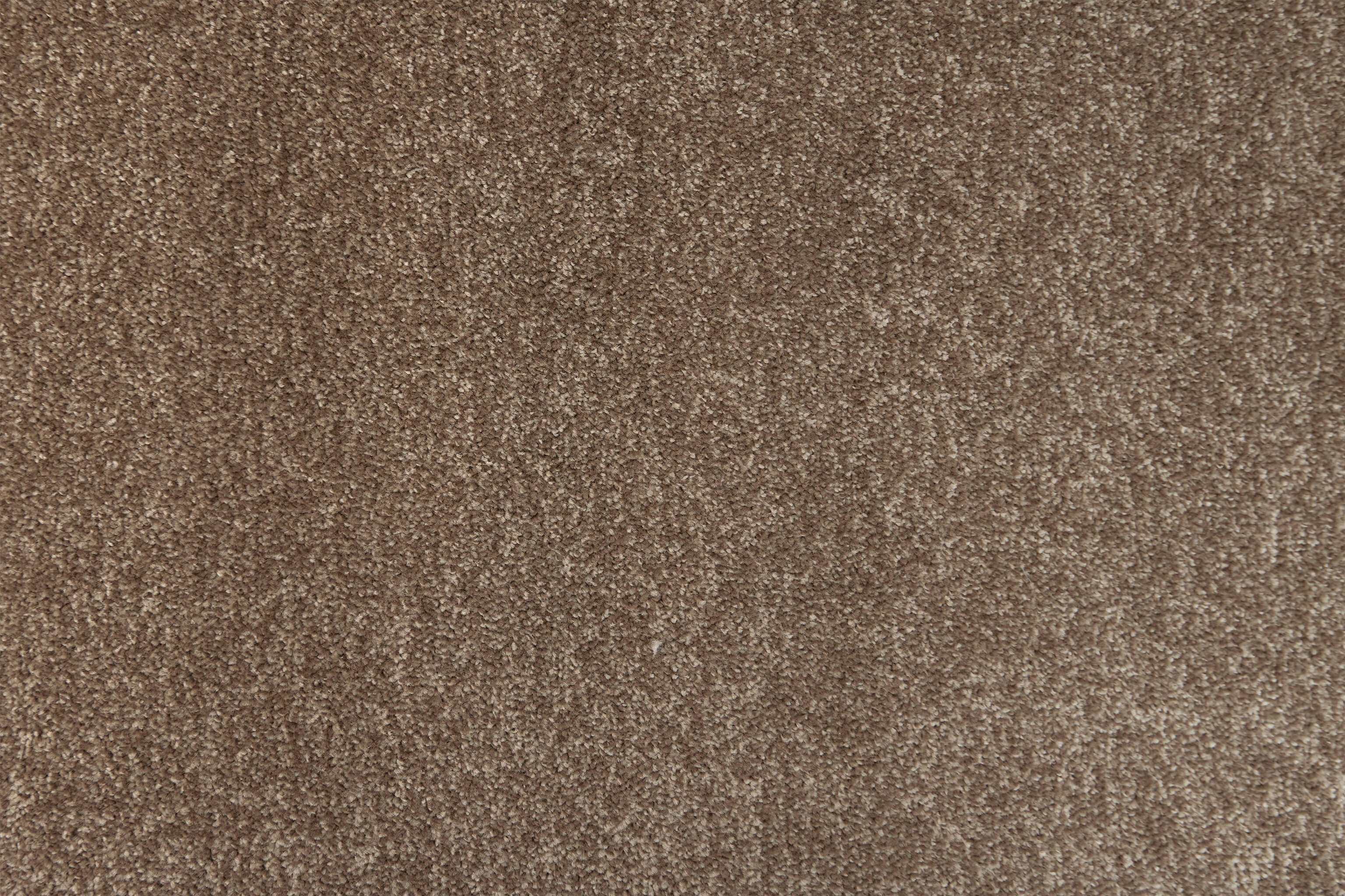 Haven - Copper - Felt Backed Carpet Sample