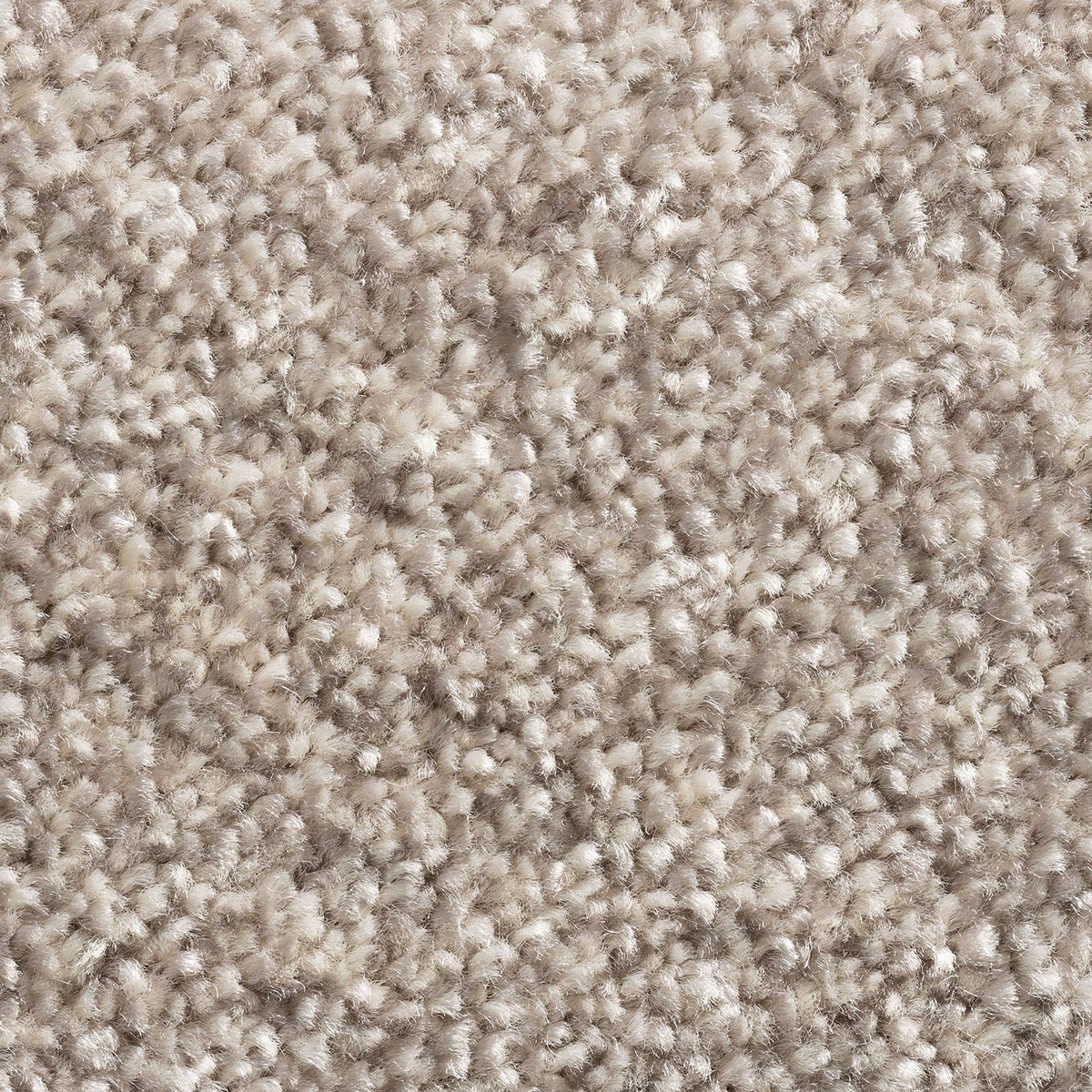 Chelsea Deep Pile Twist Carpet | Carpet Warehouse