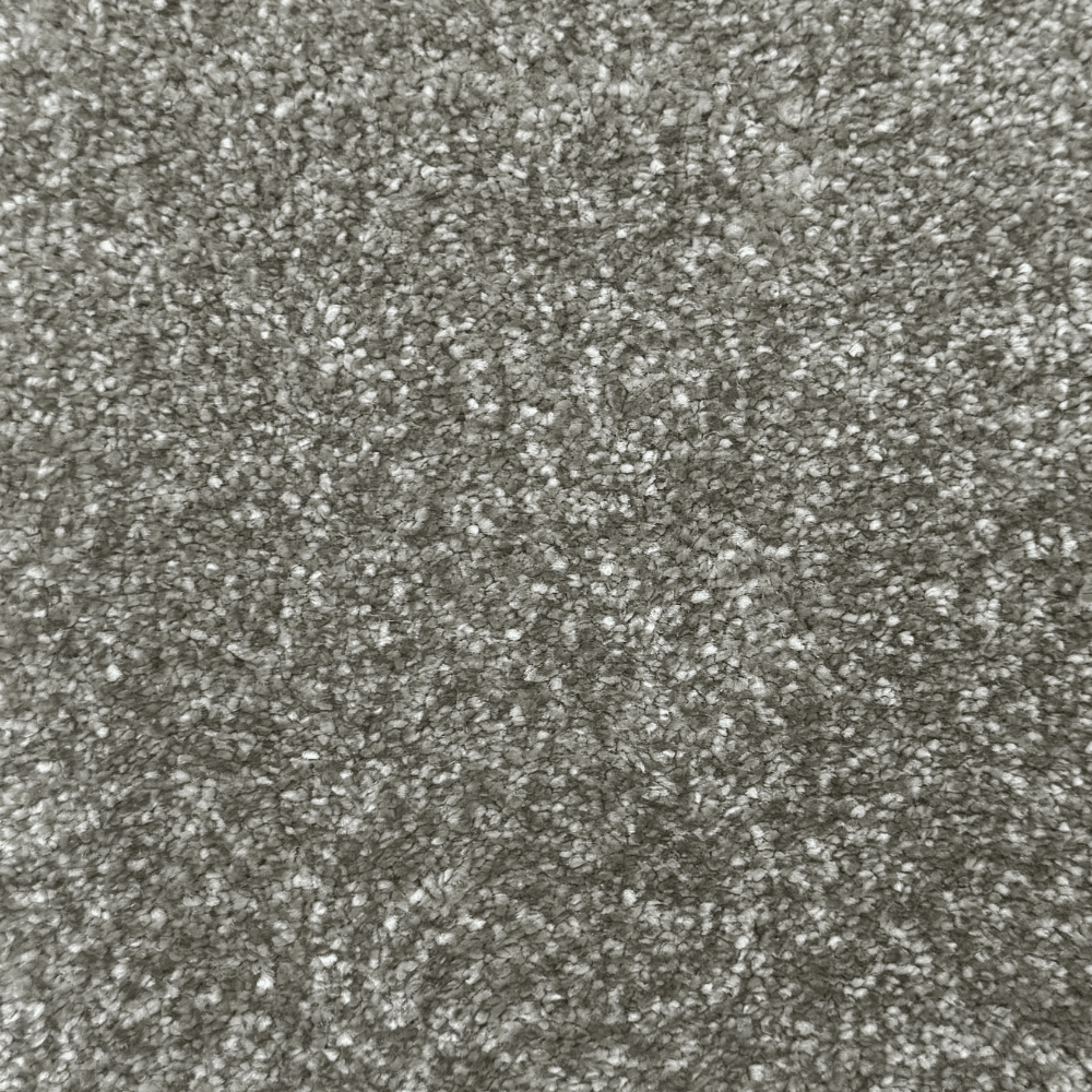 Jackson Saxony Carpet | Carpet Warehouse