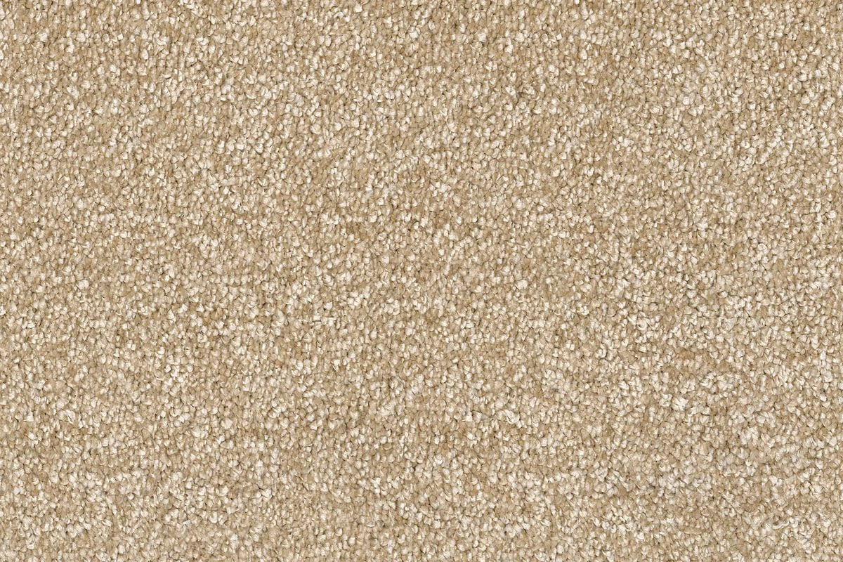 Napa Lux Polyester Carpet | Carpet Warehouse