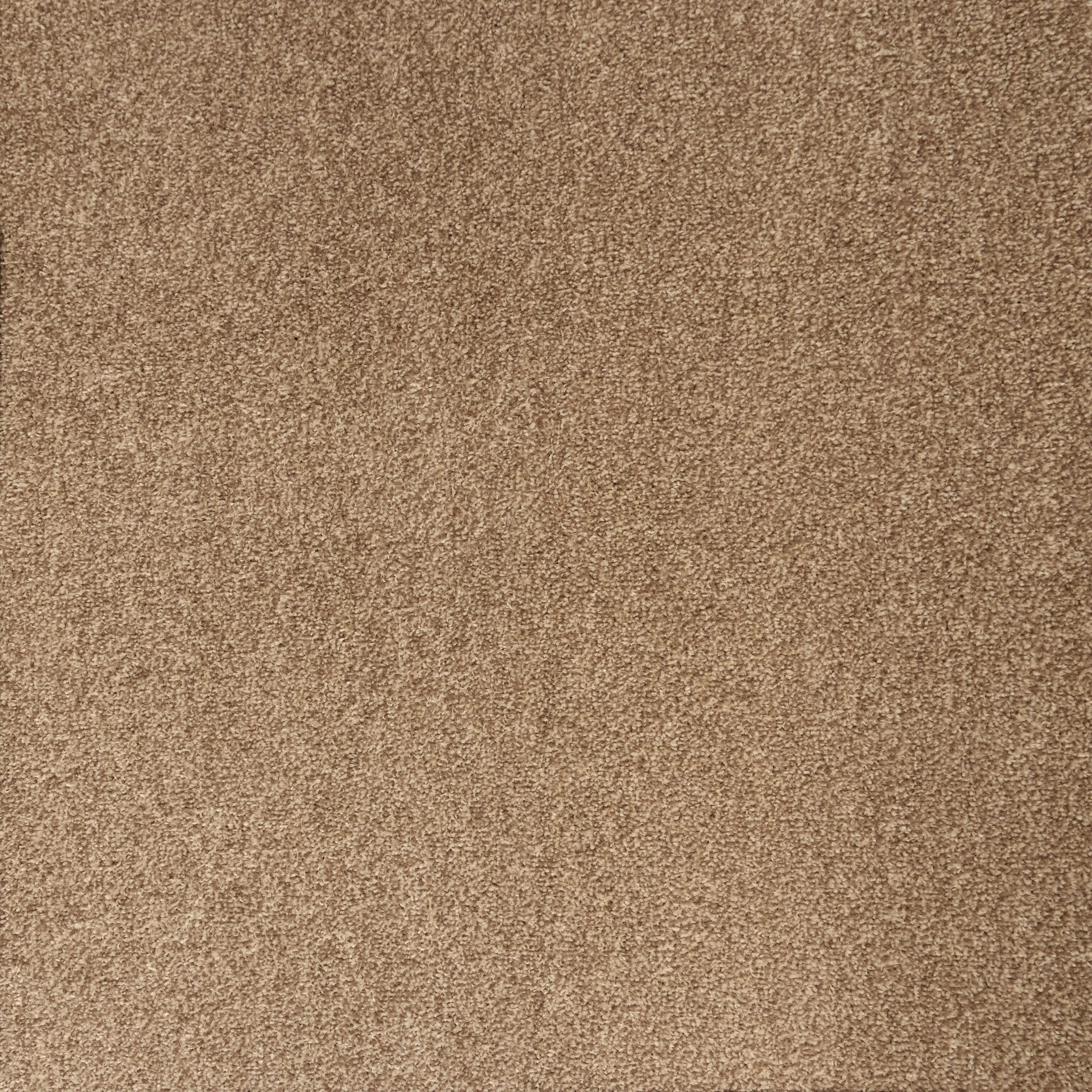 Alto - Sandstone - Action Backed - Carpet Sample